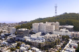 NEWS: How an alt text style guide can be an accessibility game changer ...